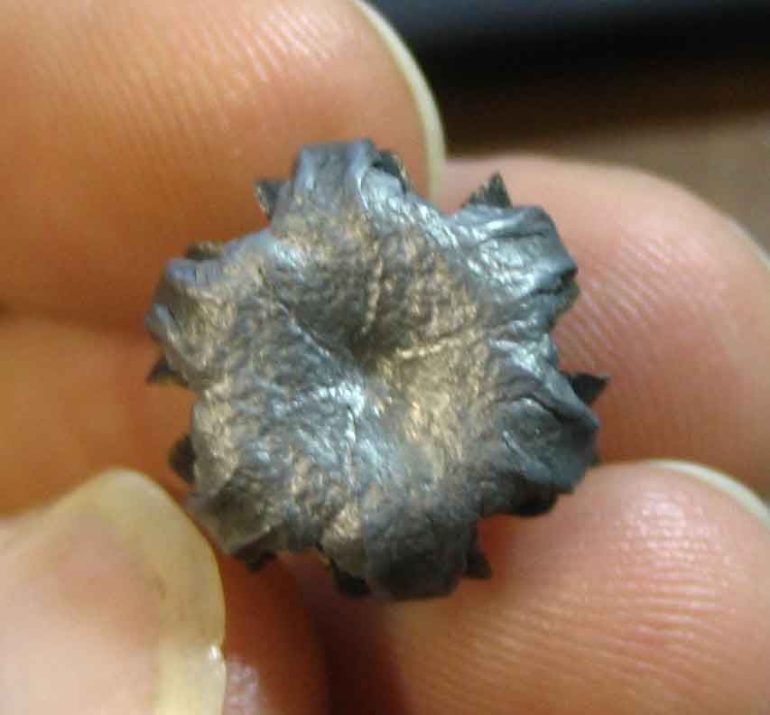 Federal HST Expansion...Pictures inside. - Training - IllinoisCarry.com