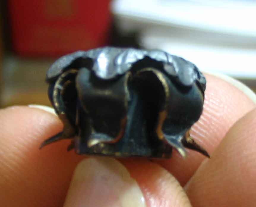 Federal HST Expansion...Pictures inside. - Training - IllinoisCarry.com