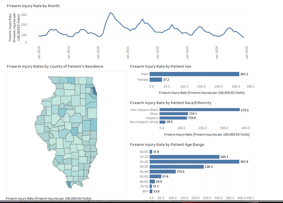 IDPH Launches Data Dashboard on Violent Deaths and Firearm Injuries ...